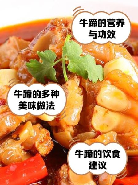 牛蹄的营养价值及功效_牛蹄吃了有什么好处-第2张图片-山城妙识