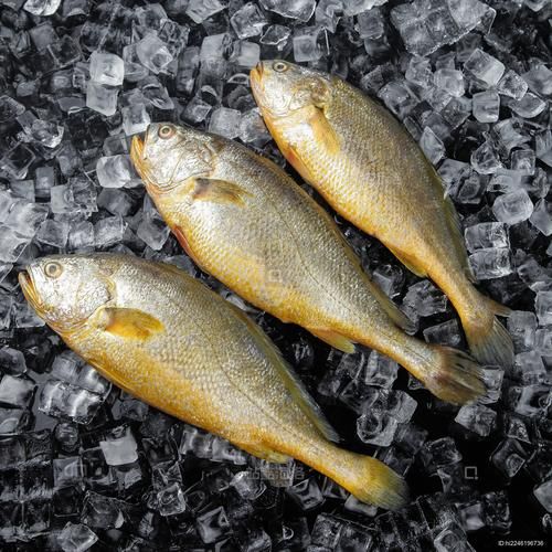 黄鱼视频高清怎么下载_黄鱼视频高清资源在哪找-第3张图片-山城妙识