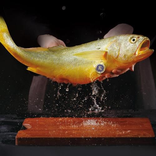 黄鱼视频高清怎么下载_黄鱼视频高清资源在哪找-第1张图片-山城妙识