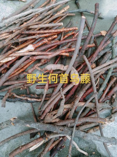 首乌藤和夜交藤一样吗_首乌藤夜交藤区别-第1张图片-山城妙识