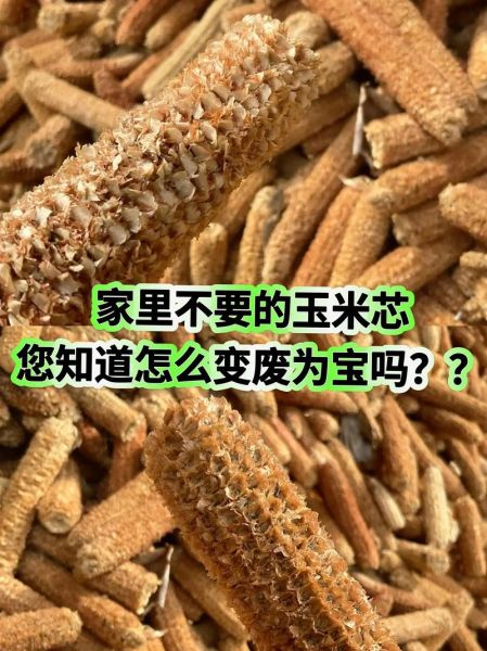 一天可以看25次的蘑菇视频_如何高效利用-第1张图片-山城妙识 一天可以看25次的蘑菇视频_如何高效利用-第1张图片-山城妙识