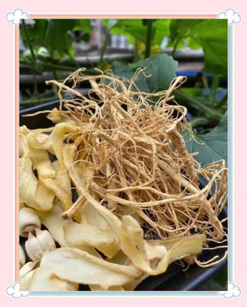 白参须哪些人不能吃_白参须禁忌人群有哪些-第1张图片-山城妙识 白参须哪些人不能吃_白参须禁忌人群有哪些-第1张图片-山城妙识