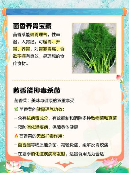 茴香为什么晚上不能吃_晚上吃茴香有什么坏处-第1张图片-山城妙识