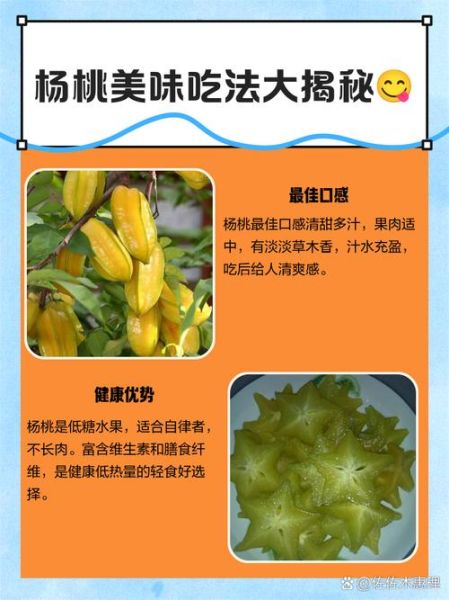 杨桃怎么吃才安全_杨桃哪些人不能吃-第3张图片-山城妙识