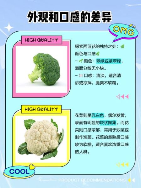 花椰菜是西兰花吗_区别与营养对比-第2张图片-山城妙识