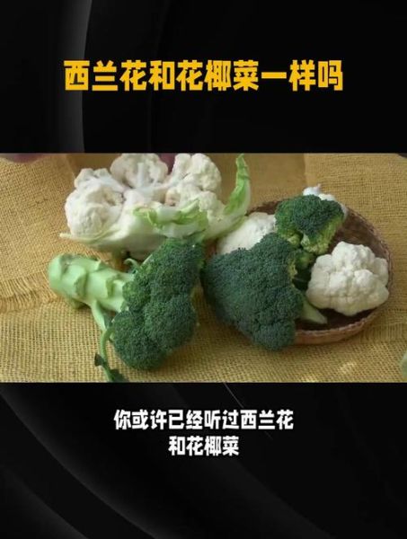 花椰菜是西兰花吗_区别与营养对比-第3张图片-山城妙识