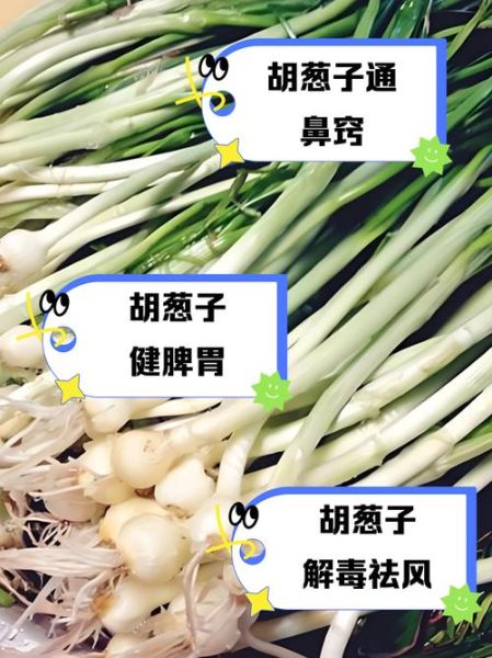 胡葱的功效与作用_胡葱怎么吃最好-第2张图片-山城妙识