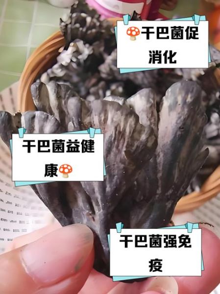 干巴菌怎么保存_干巴菌可以冷冻吗-第1张图片-山城妙识