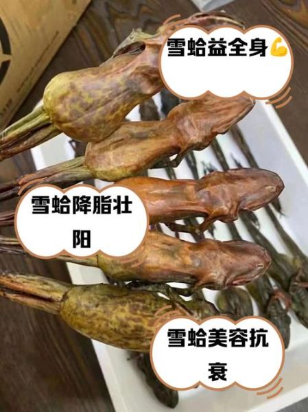 雪蛤多少钱一斤_雪蛤的功效与作用-第3张图片-山城妙识