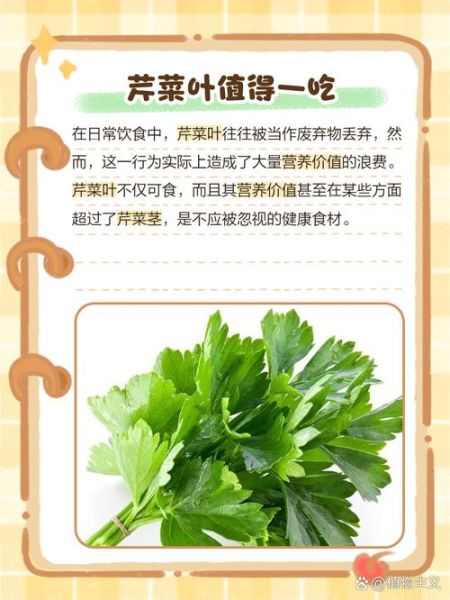 芹菜叶子能吃吗_芹菜叶子的营养价值-第2张图片-山城妙识