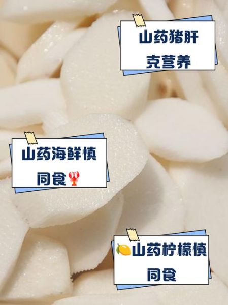 吃铁棍山药的禁忌有哪些_铁棍山药不能和什么一起吃-第1张图片-山城妙识 吃铁棍山药的禁忌有哪些_铁棍山药不能和什么一起吃-第1张图片-山城妙识