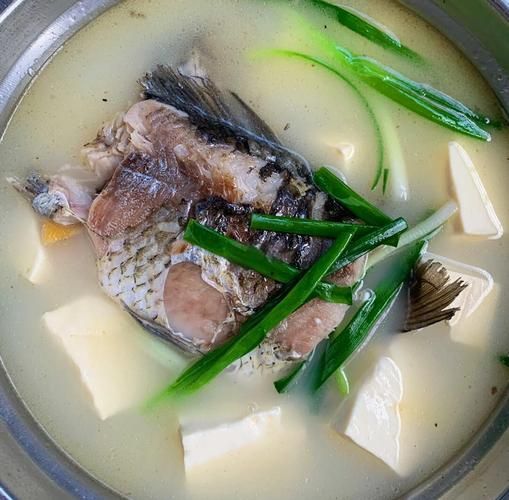 清汤鱼的做法_白色汤怎么熬-第3张图片-山城妙识 清汤鱼的做法_白色汤怎么熬-第3张图片-山城妙识