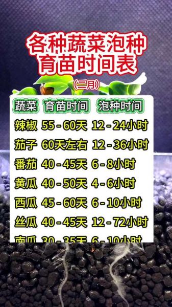 辣椒种子几月份播种_南方北方时间差-第1张图片-山城妙识 辣椒种子几月份播种_南方北方时间差-第1张图片-山城妙识