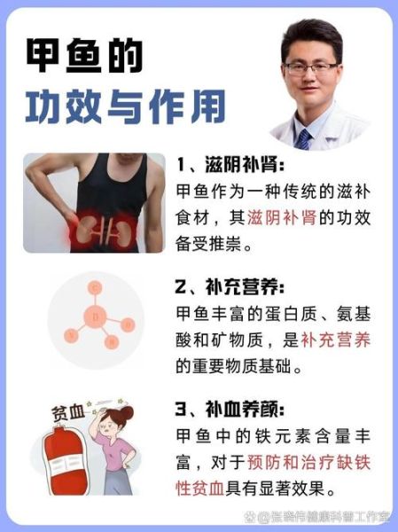 甲鱼的功效与作用有哪些_哪些人不能吃甲鱼-第2张图片-山城妙识 甲鱼的功效与作用有哪些_哪些人不能吃甲鱼-第2张图片-山城妙识