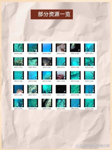 鱼鱼视频怎么下载_鱼鱼视频安全吗-第1张图片-山城妙识 鱼鱼视频怎么下载_鱼鱼视频安全吗-第1张图片-山城妙识