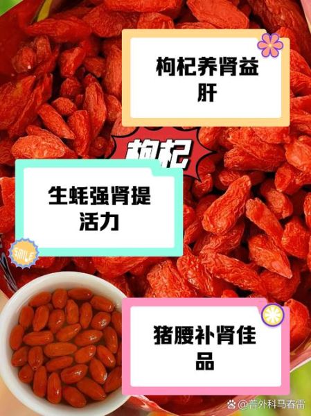 补肾养精吃什么_肾虚吃什么补得快-第3张图片-山城妙识