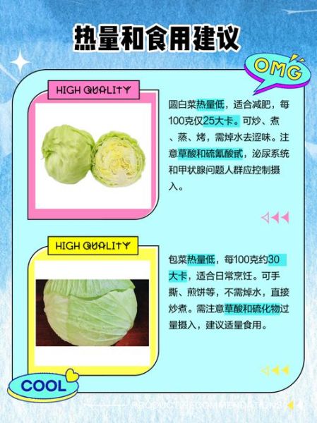 圆白菜是包菜吗_圆白菜和包菜的区别-第1张图片-山城妙识