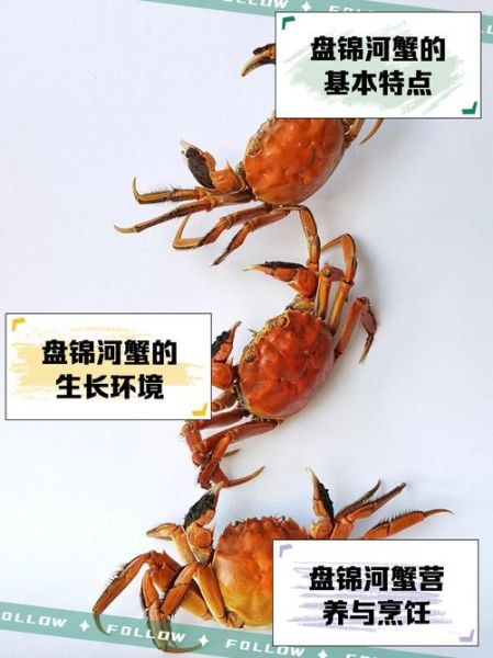 河蟹什么意思_网络用语河蟹是什么-第2张图片-山城妙识 河蟹什么意思_网络用语河蟹是什么-第2张图片-山城妙识