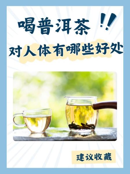 喝普洱茶有什么好处和坏处_长期饮用影响-第1张图片-山城妙识