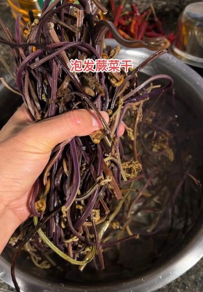 干蕨菜怎么泡发_干蕨菜泡多久才能吃-第3张图片-山城妙识 干蕨菜怎么泡发_干蕨菜泡多久才能吃-第3张图片-山城妙识