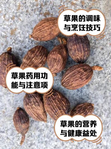 草果是什么_草果的功效与作用-第1张图片-山城妙识 草果是什么_草果的功效与作用-第1张图片-山城妙识