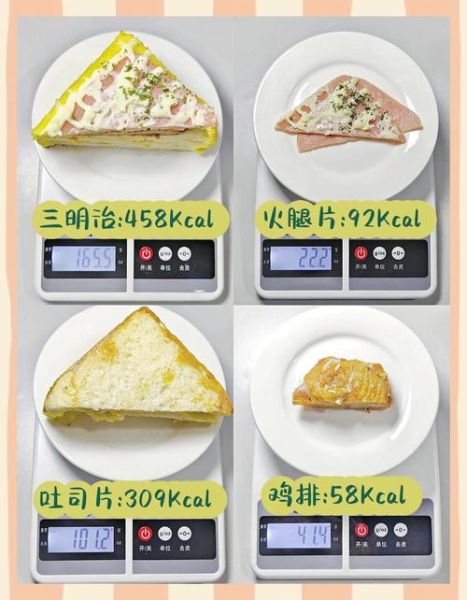 油炸大排热量是多少_减肥能吃吗-第1张图片-山城妙识 油炸大排热量是多少_减肥能吃吗-第1张图片-山城妙识