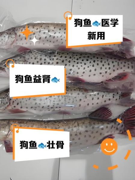 狗屎鱼是什么_狗屎鱼好吃吗-第1张图片-山城妙识