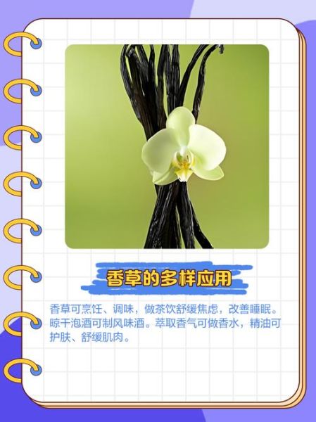 香草app下载大全_香草app安全吗-第2张图片-山城妙识 香草app下载大全_香草app安全吗-第2张图片-山城妙识