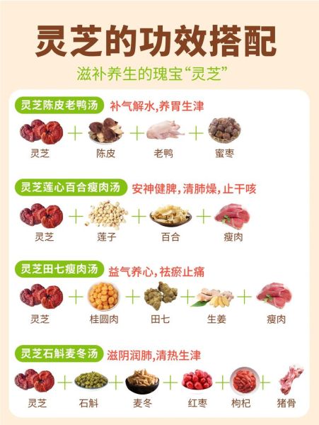 灵芝怎么吃最好_灵芝的正确吃法与禁忌-第2张图片-山城妙识