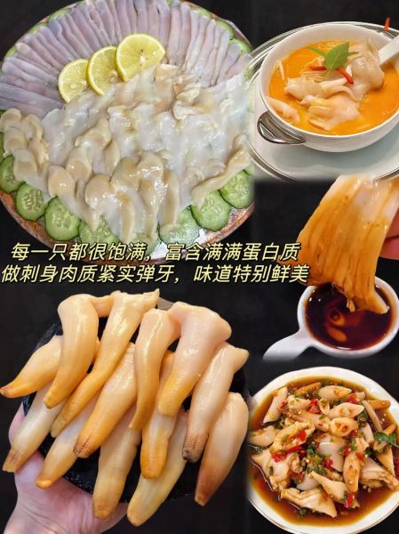 象拔蚌多少钱一斤_象拔蚌价格今日行情-第1张图片-山城妙识