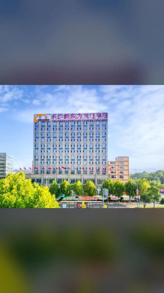 长沙新东方烹饪学院学费多少钱_长沙新东方烹饪学院怎么样-第3张图片-山城妙识 长沙新东方烹饪学院学费多少钱_长沙新东方烹饪学院怎么样-第3张图片-山城妙识