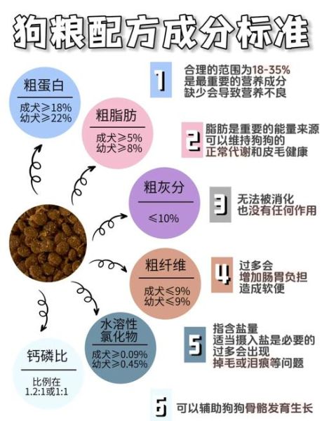 干颗粒狗粮怎么做_干狗粮加工流程-第3张图片-山城妙识