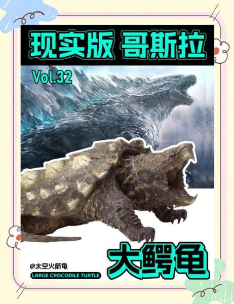 鳄龟怎么养_鳄龟吃什么-第2张图片-山城妙识 鳄龟怎么养_鳄龟吃什么-第2张图片-山城妙识