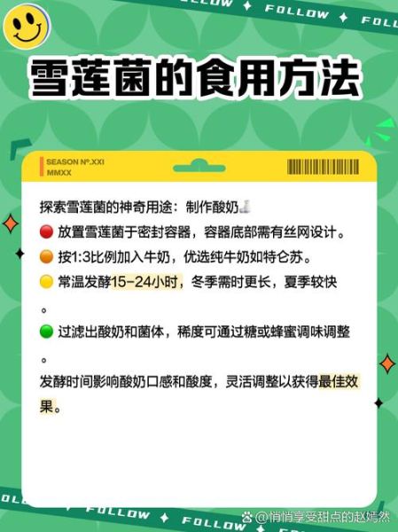 雪莲菌做酸奶的危害_自制雪莲菌酸奶安全吗-第3张图片-山城妙识 雪莲菌做酸奶的危害_自制雪莲菌酸奶安全吗-第3张图片-山城妙识