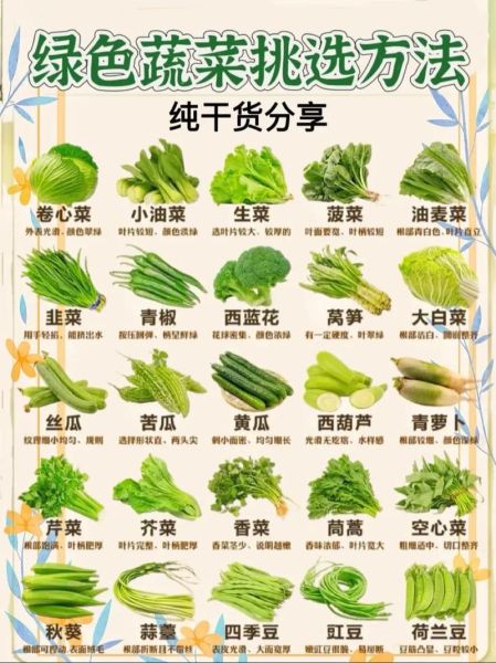 青菜怎么挑选新鲜_青菜保存方法有哪些-第1张图片-山城妙识 青菜怎么挑选新鲜_青菜保存方法有哪些-第1张图片-山城妙识