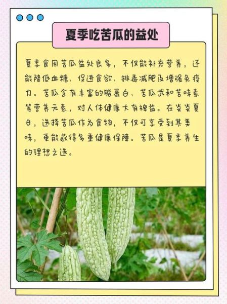 苦瓜怎么吃降血糖_苦瓜降糖的正确吃法-第3张图片-山城妙识 苦瓜怎么吃降血糖_苦瓜降糖的正确吃法-第3张图片-山城妙识