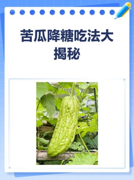 苦瓜怎么吃降血糖_苦瓜降糖的正确吃法-第2张图片-山城妙识 苦瓜怎么吃降血糖_苦瓜降糖的正确吃法-第2张图片-山城妙识