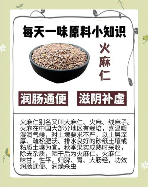 火麻仁的功效与作用_火麻仁的禁忌有哪些-第1张图片-山城妙识 火麻仁的功效与作用_火麻仁的禁忌有哪些-第1张图片-山城妙识