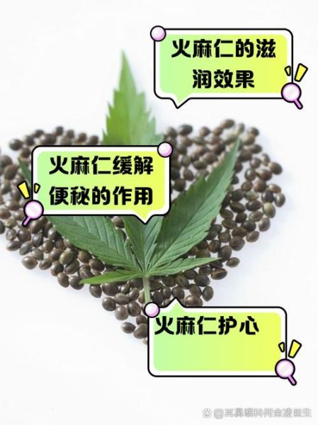 火麻仁的功效与作用_火麻仁的禁忌有哪些-第2张图片-山城妙识 火麻仁的功效与作用_火麻仁的禁忌有哪些-第2张图片-山城妙识