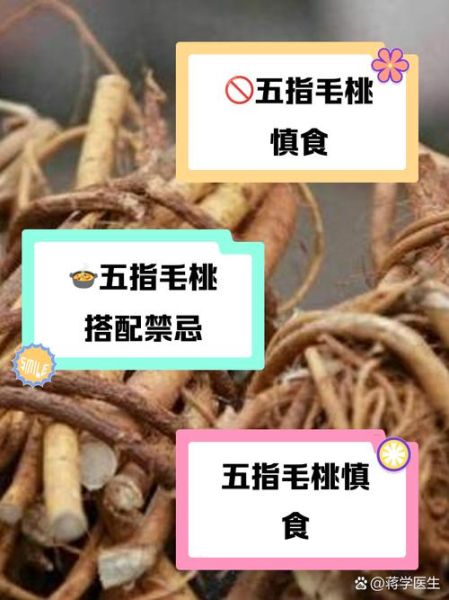 五指毛桃与什么相克_五指毛桃禁忌搭配-第2张图片-山城妙识 五指毛桃与什么相克_五指毛桃禁忌搭配-第2张图片-山城妙识