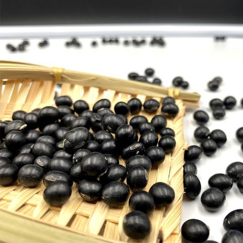 青仁黑豆和黑豆哪个好_区别与功效对比-第2张图片-山城妙识