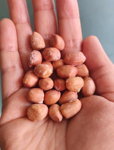 煮花生米多长时间_怎么判断熟没熟-第1张图片-山城妙识 煮花生米多长时间_怎么判断熟没熟-第1张图片-山城妙识