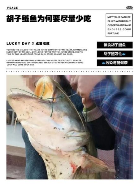 胡子鲢鱼怎么做好吃_胡子鲢鱼的做法大全-第1张图片-山城妙识 胡子鲢鱼怎么做好吃_胡子鲢鱼的做法大全-第1张图片-山城妙识