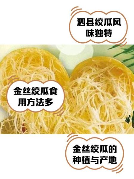 金丝瓜怎么吃_金丝瓜的做法大全-第1张图片-山城妙识 金丝瓜怎么吃_金丝瓜的做法大全-第1张图片-山城妙识