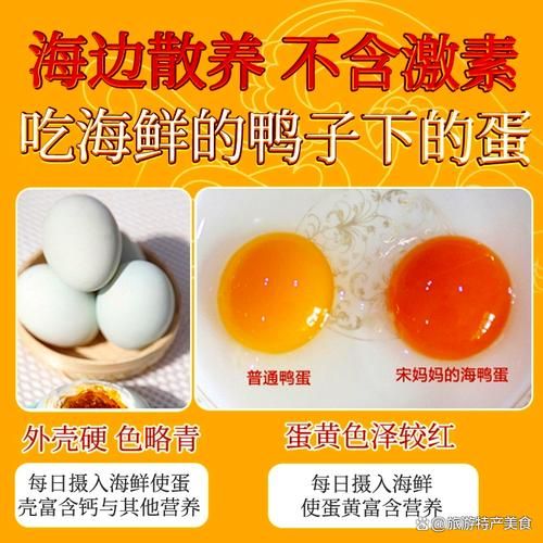 海鸭蛋是什么_海鸭蛋和普通鸭蛋区别-第1张图片-山城妙识 海鸭蛋是什么_海鸭蛋和普通鸭蛋区别-第1张图片-山城妙识
