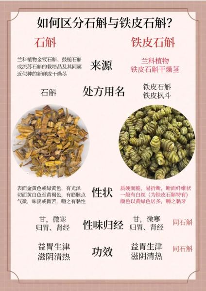 铁皮石斛禁忌人群_铁皮石斛不能和什么一起吃-第1张图片-山城妙识
