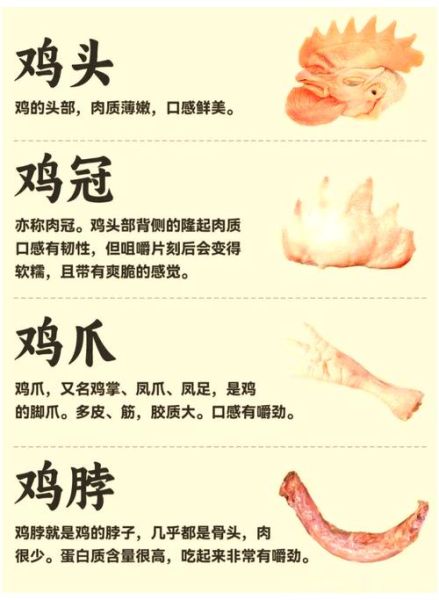 脚滑鸡是什么鸡_脚滑鸡和普通鸡的区别-第1张图片-山城妙识 脚滑鸡是什么鸡_脚滑鸡和普通鸡的区别-第1张图片-山城妙识