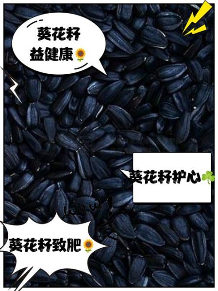 葵花籽的好处和坏处有哪些_吃葵花籽会上火吗-第3张图片-山城妙识