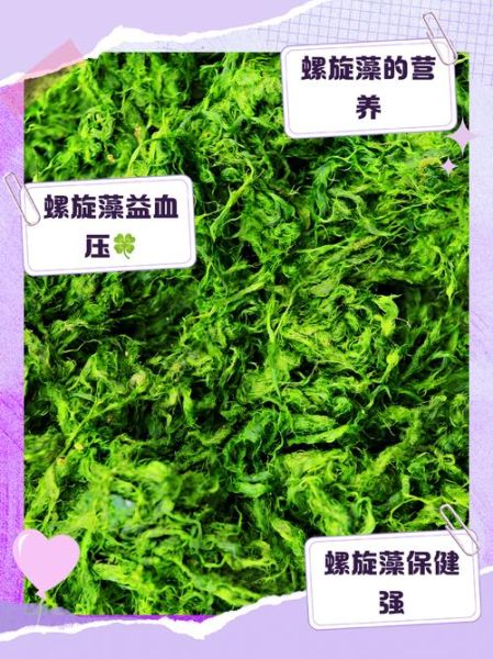 螺旋藻的功效与作用有哪些_螺旋藻怎么吃效果最好-第2张图片-山城妙识