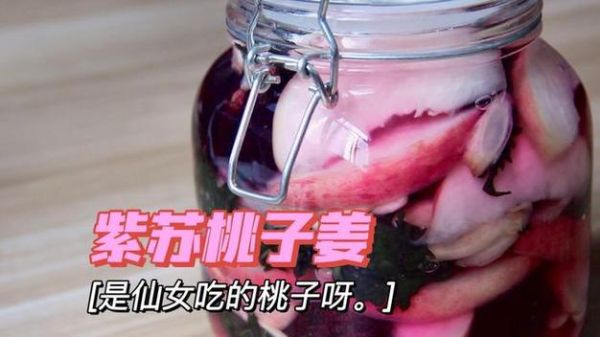 桃子视频怎么下载_桃子视频会员多少钱-第1张图片-山城妙识